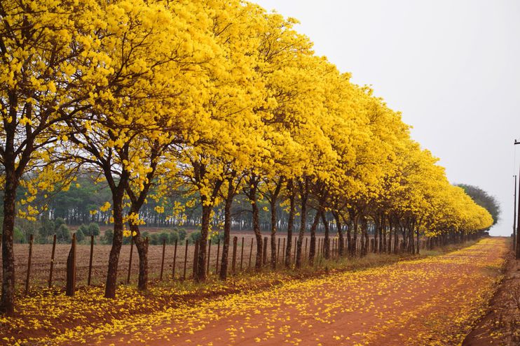 Turismo en la ciudad de NATALIO | Desconectate