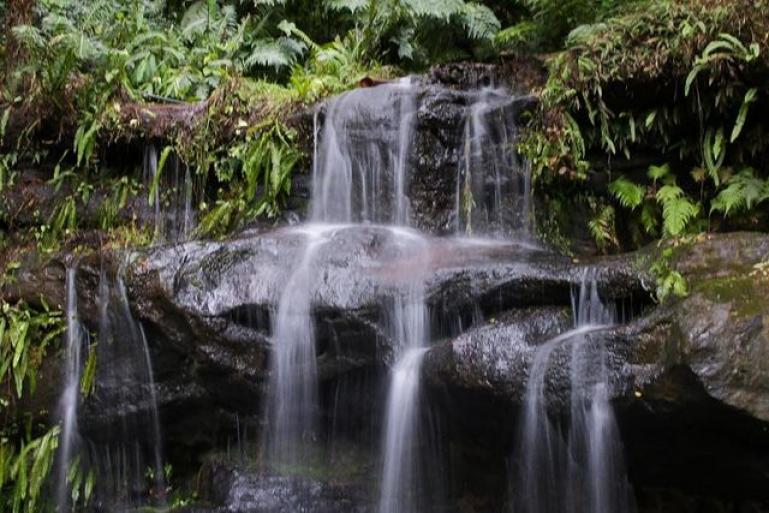 Quinta Yvaga | Turismo interno en Paraguay - Desconectate