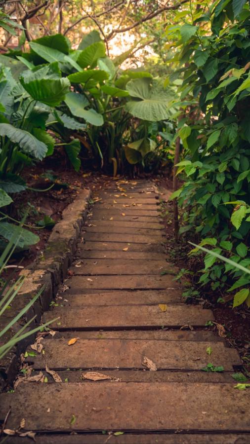 La Wayaba Lodge | Turismo interno en Paraguay - Desconectate